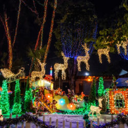 Holiday Lights and Interactive Displays - Santa's Enchanted Forest